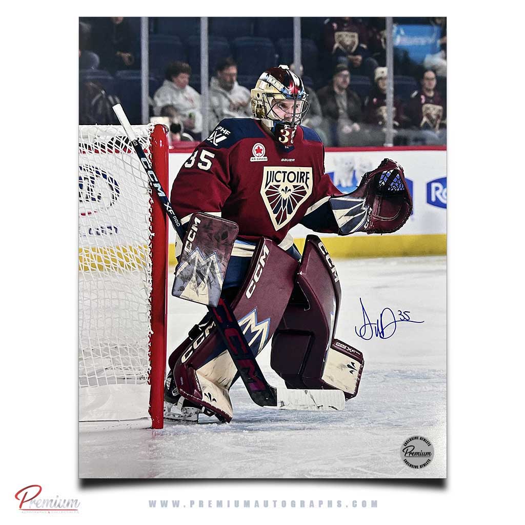 Ann-Renee Desbiens Montreal Victoria PWHL Signed 16x20 Photograph In N ...